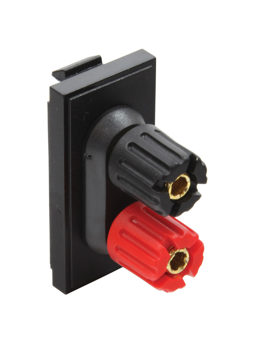 RPP EASYCLIP MODULE BKDE384 Dual binding post, half module, black